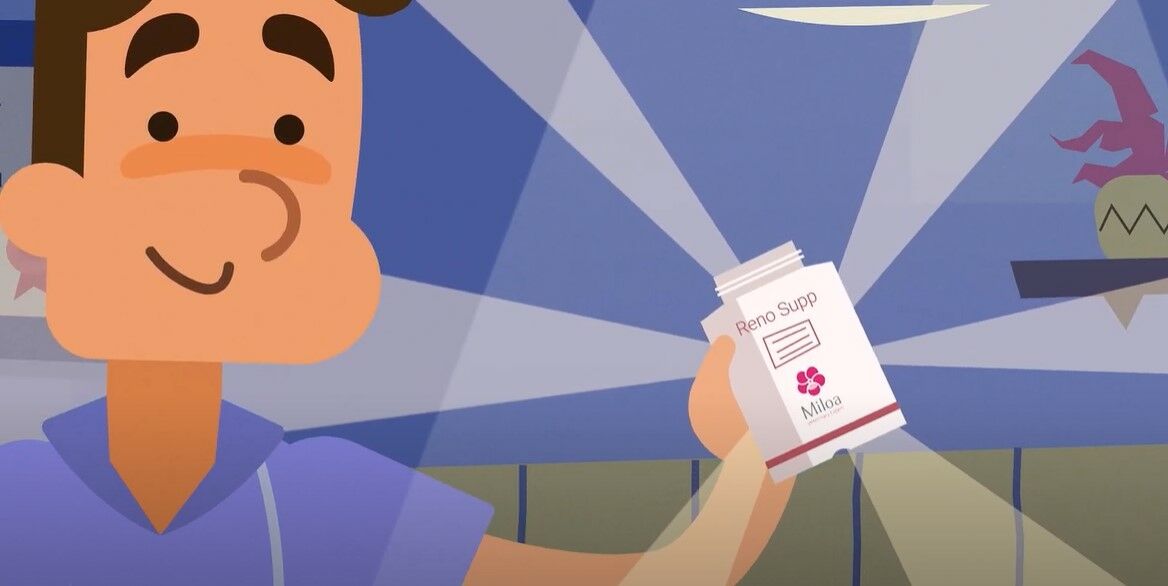 Miloa Reno Pro 30 Comprimés Fonction Rénale | Pharmaglobe.lu